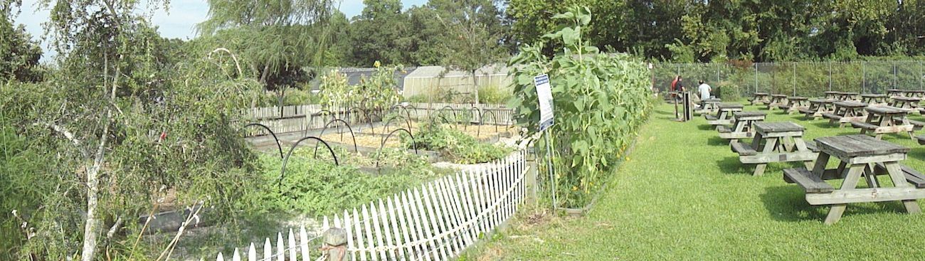 Locations Hub - New Hanover Correctional Center