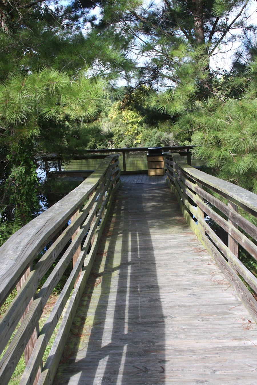 Locations Hub - Anne McCrary Park