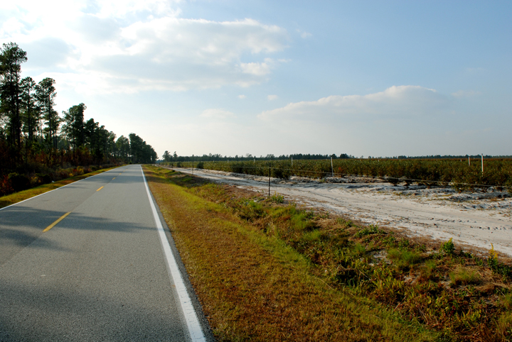 Locations Hub - NC Highway 210