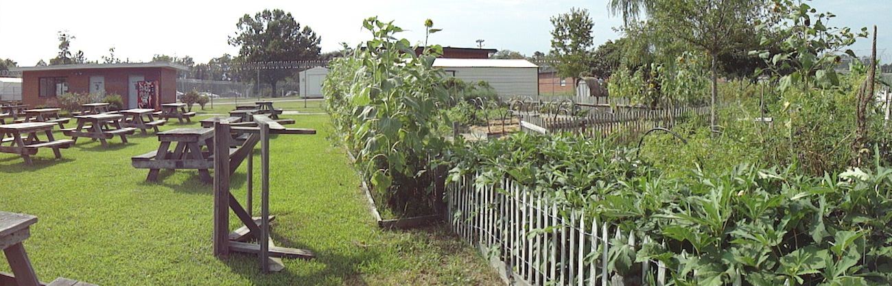 Locations Hub - New Hanover Correctional Center