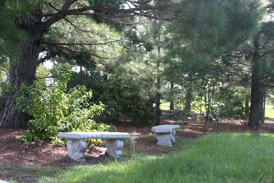 Locations Hub - Anne McCrary Park